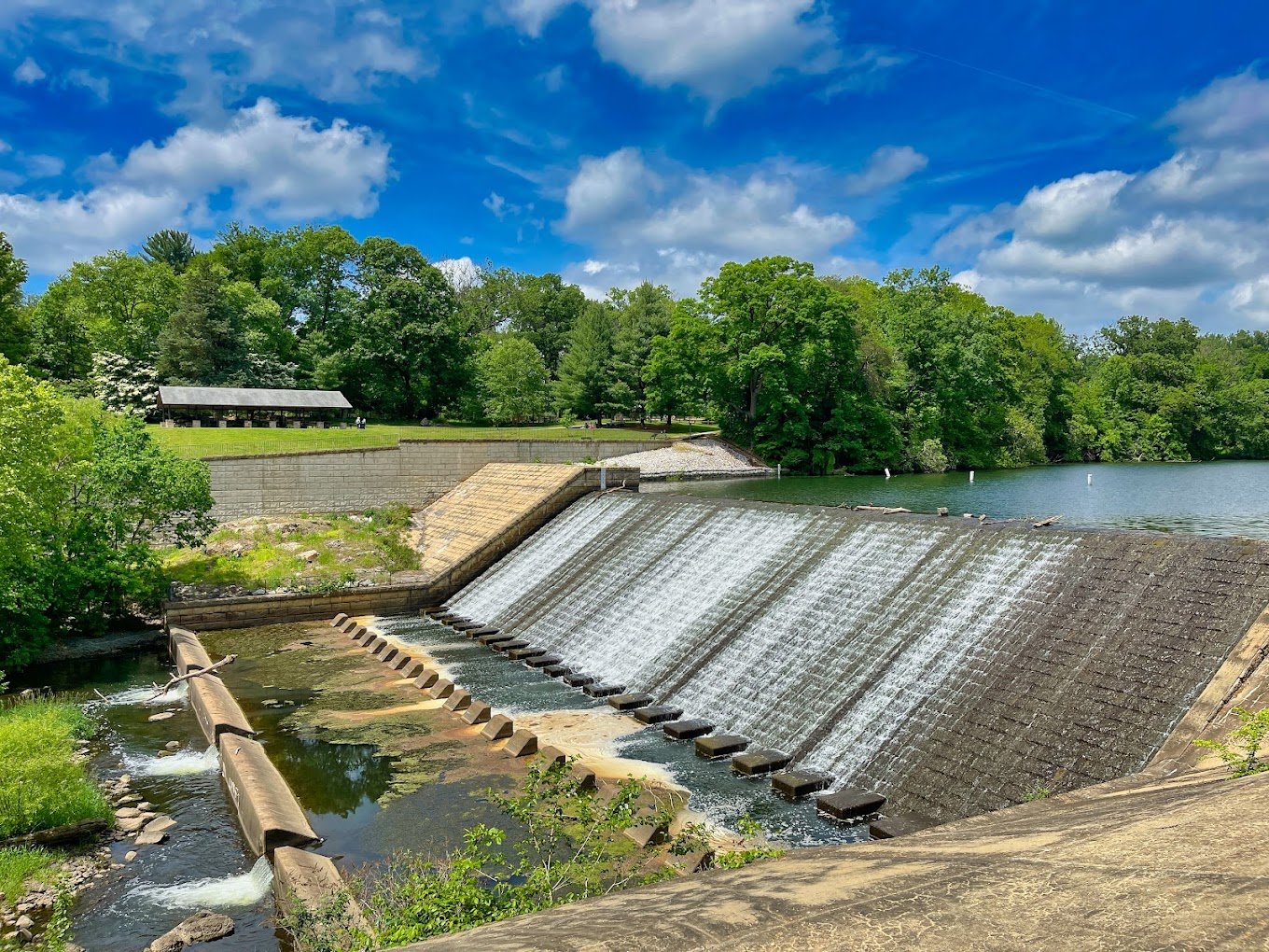 Lake Roland Park | Not Another Lounge